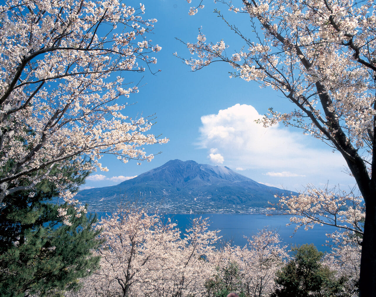 Sakurajima - Glamping reservations at Resort Glamping! Exclusive ...